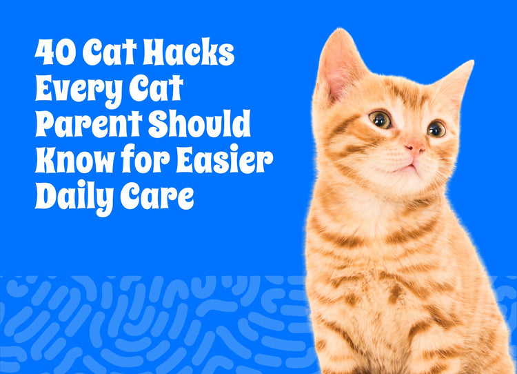 40 Cat Hacks Every Cat Parent Should Know for Easier Daily Care – Petrite