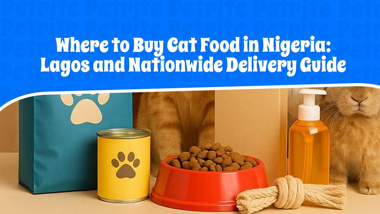 Where to Buy Cat Food in Nigeria: Lagos and Nationwide Delivery Guide ...