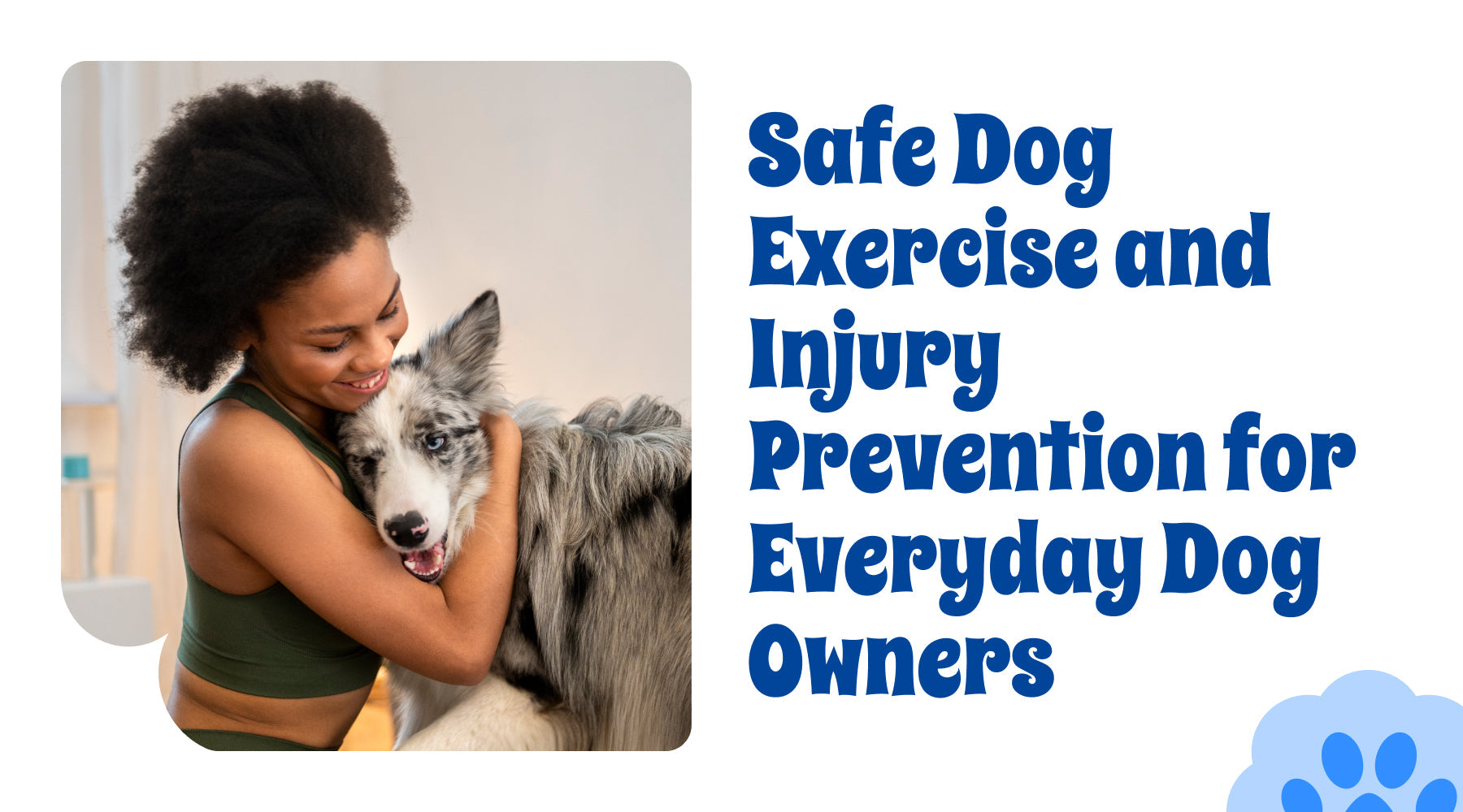 Safe Dog Exercise and Injury Prevention for Everyday Dog Owners – Petrite